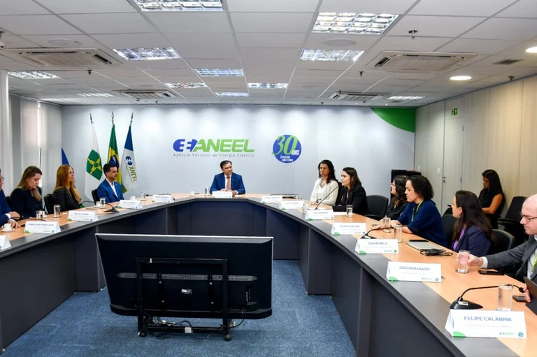 Brazil’s electricity regulator ANEEL delays energy storage rulemaking ...